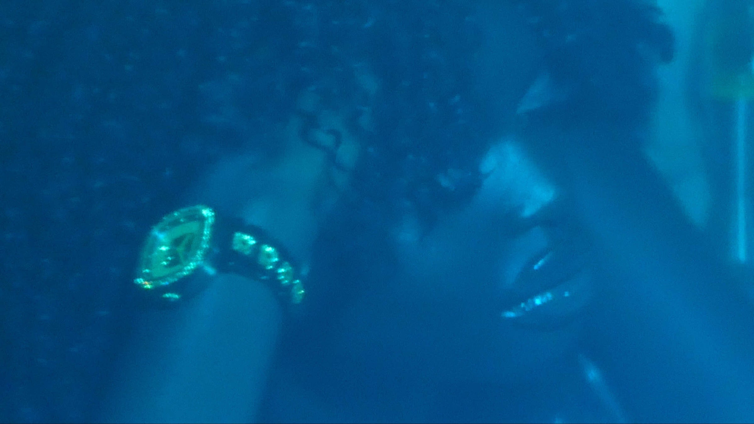 RESERVE – JBW Watches