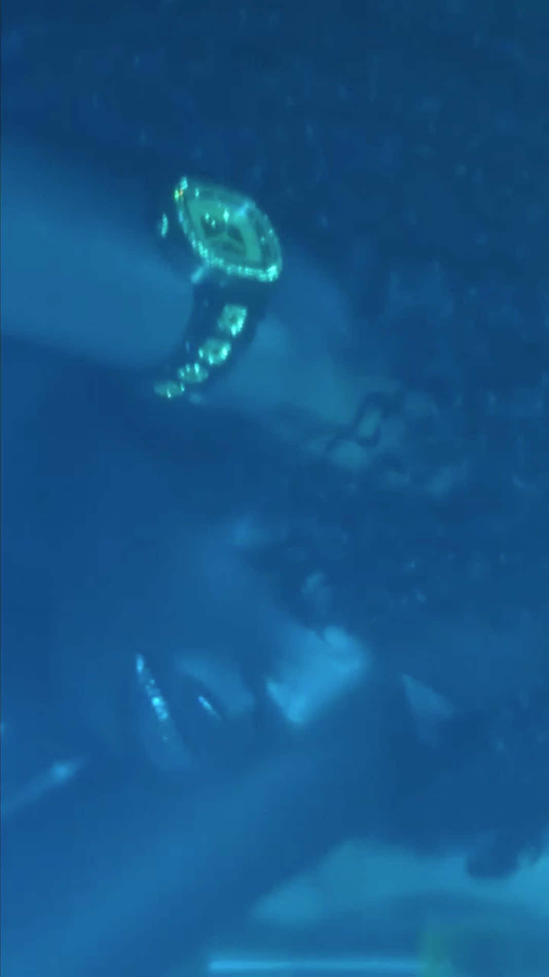 RESERVE – JBW Watches